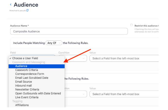 Example Audience: Composite (Nesting) Audiences – Fireside