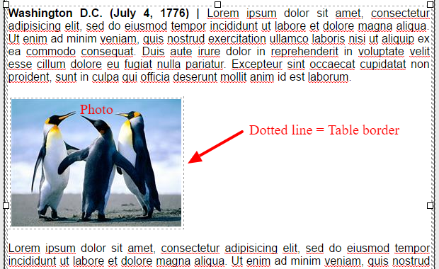 Fireside State Adding Borders Around Images – Fireside
