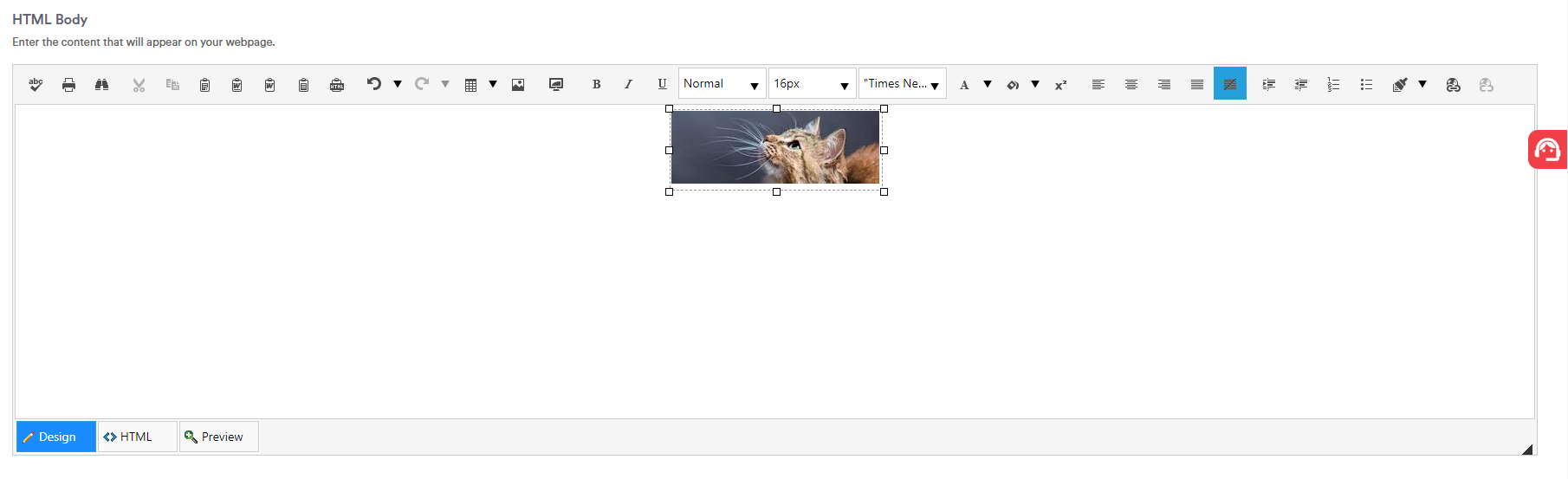 How to Center an Image For Website/News – Fireside